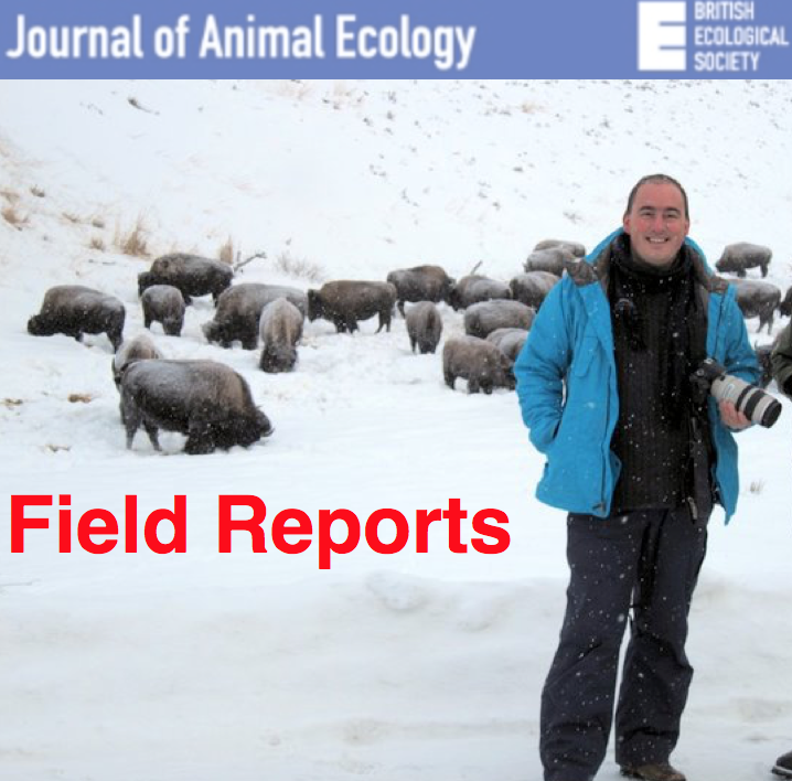 Tim_profilepic – Animal Ecology in Focus