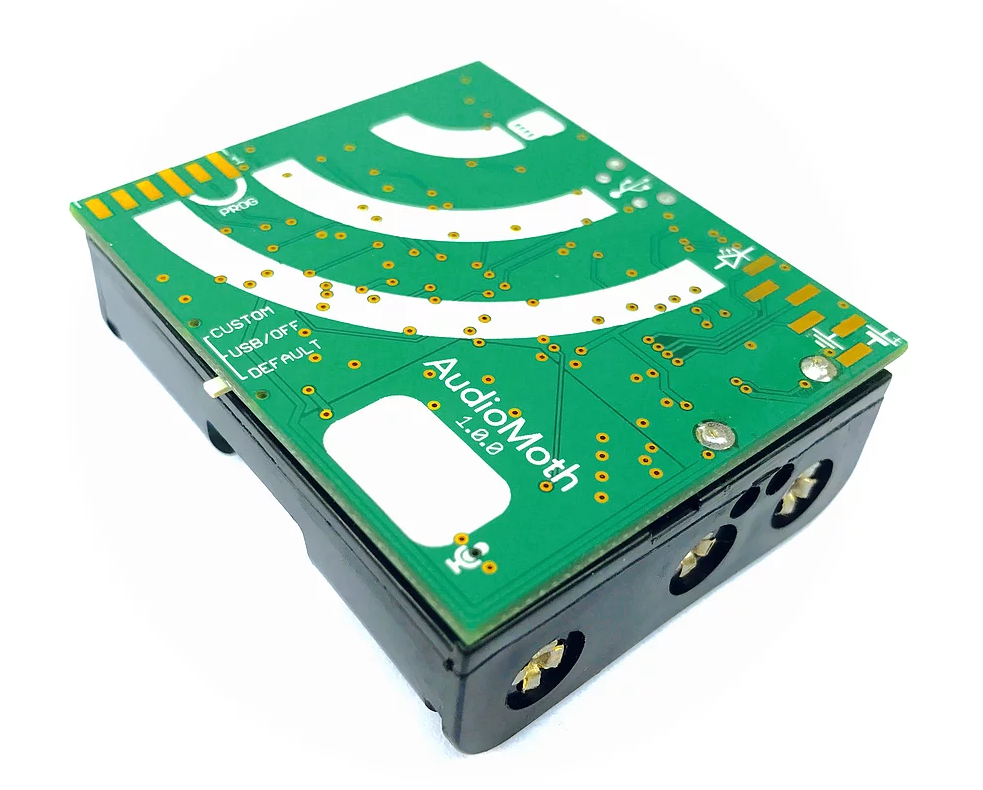 New technologies for listening to bats – Animal Ecology in Focus