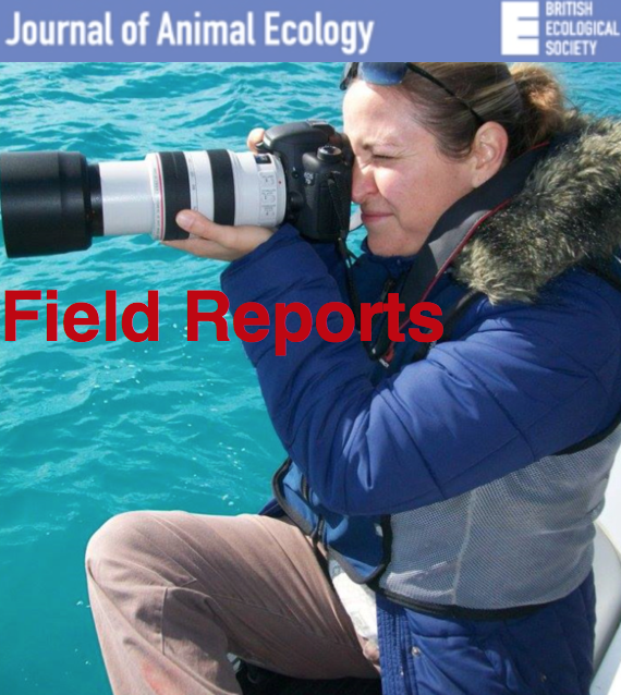 Chandra – Animal Ecology in Focus