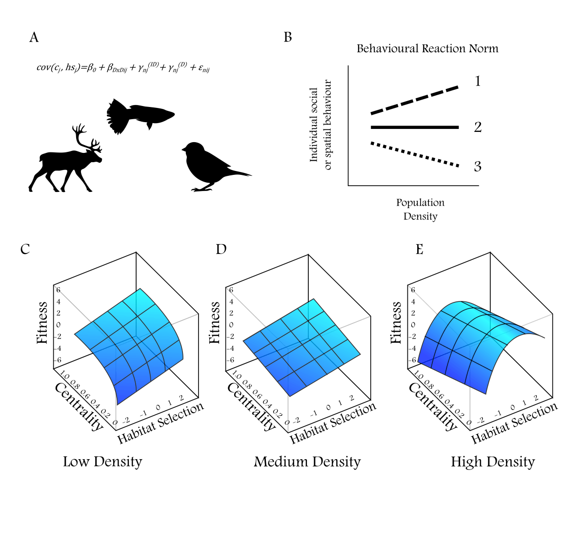 Behind the scenes: An evolutionary framework outlining the integration ...