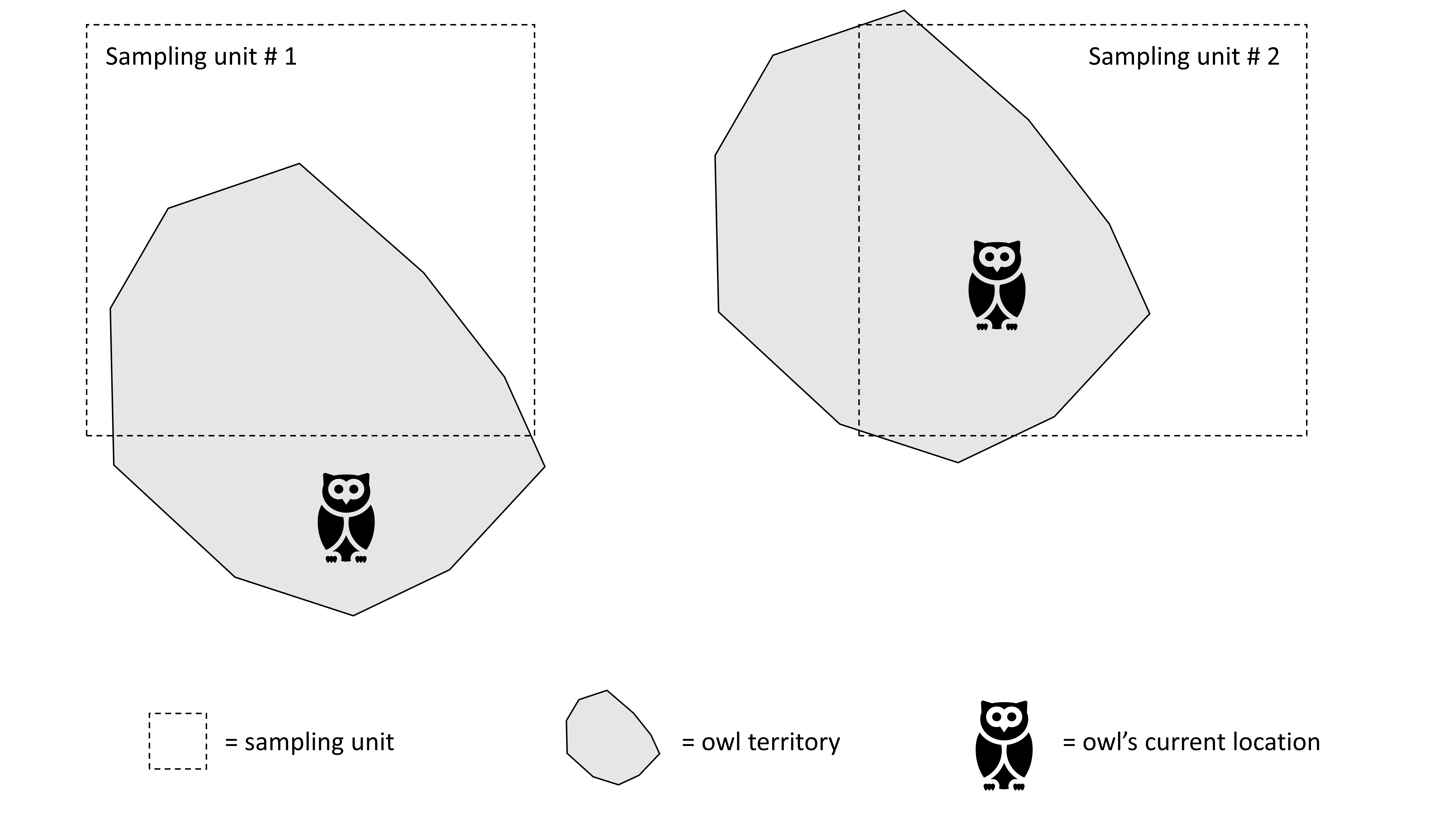 Ecological inference from occupancy estimates depends on sampling scale ...
