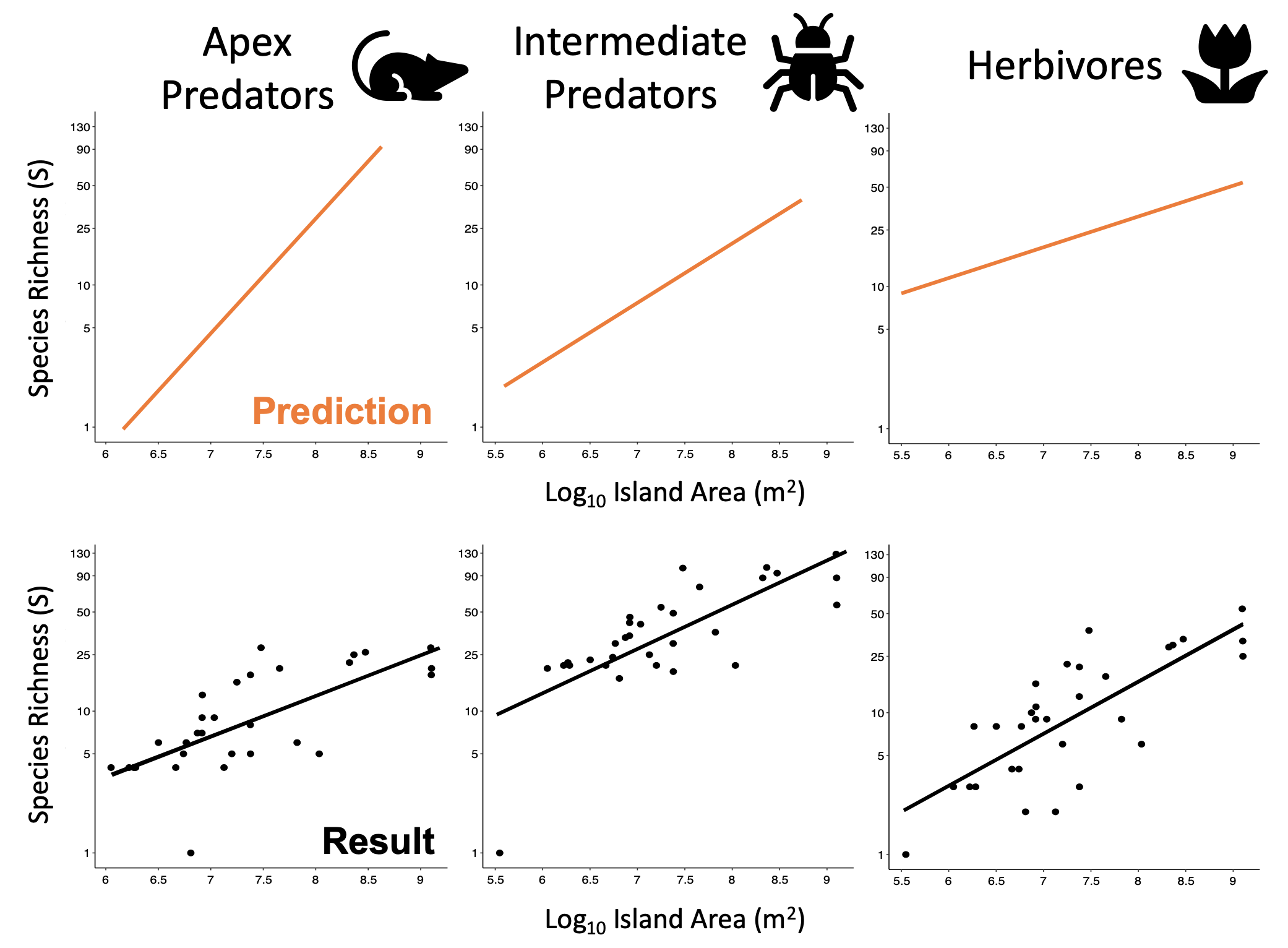 Birds in paradise: biogeography in the subtropics – Animal Ecology in Focus
