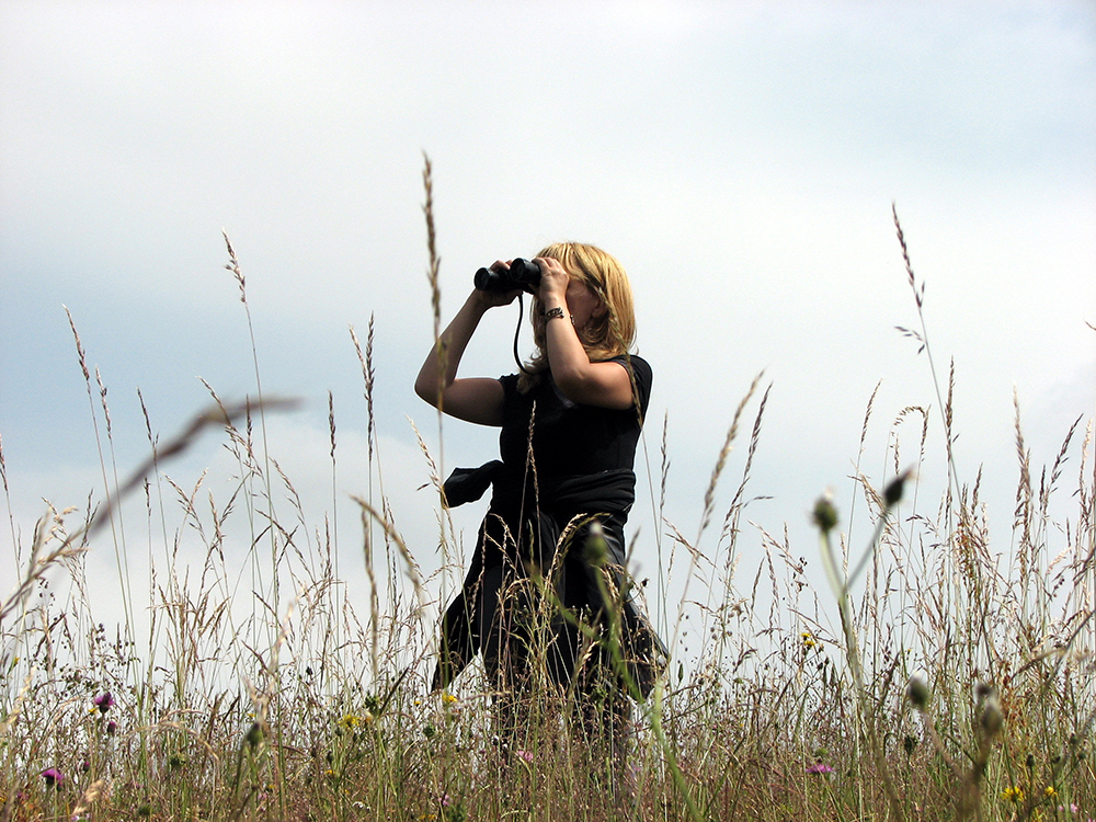 Call for papers: Special Feature on citizen science – Animal Ecology in ...