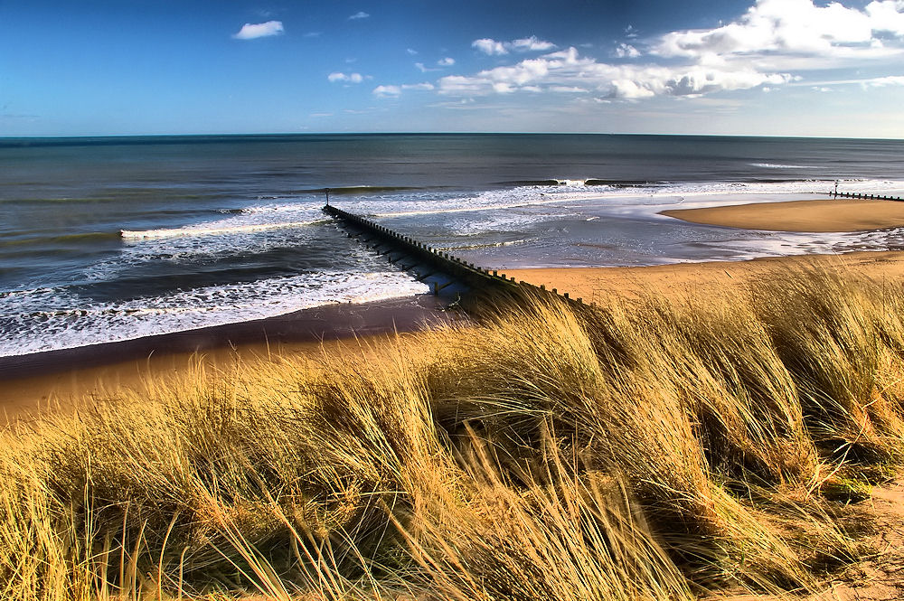 Meet the Editor: Lesley Lancaster – Animal Ecology in Focus