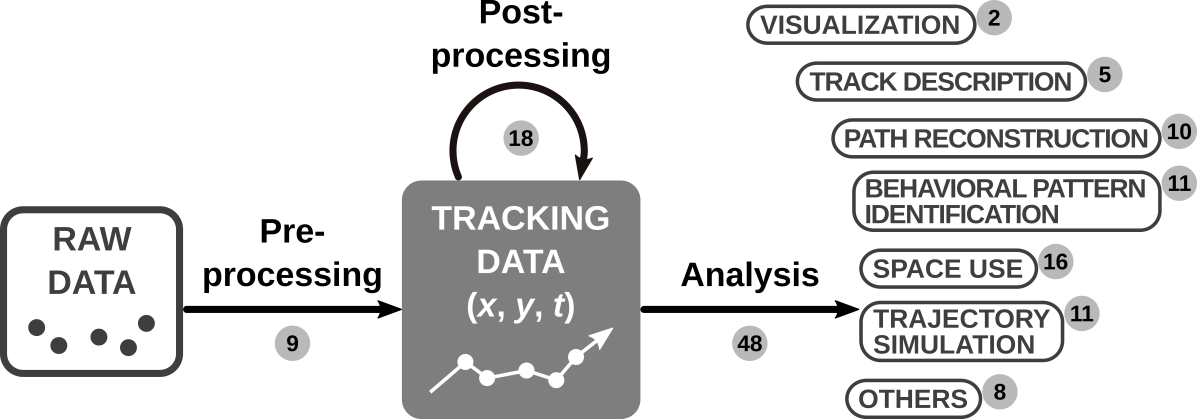Navigating through the R packages for movement – Animal Ecology in Focus
