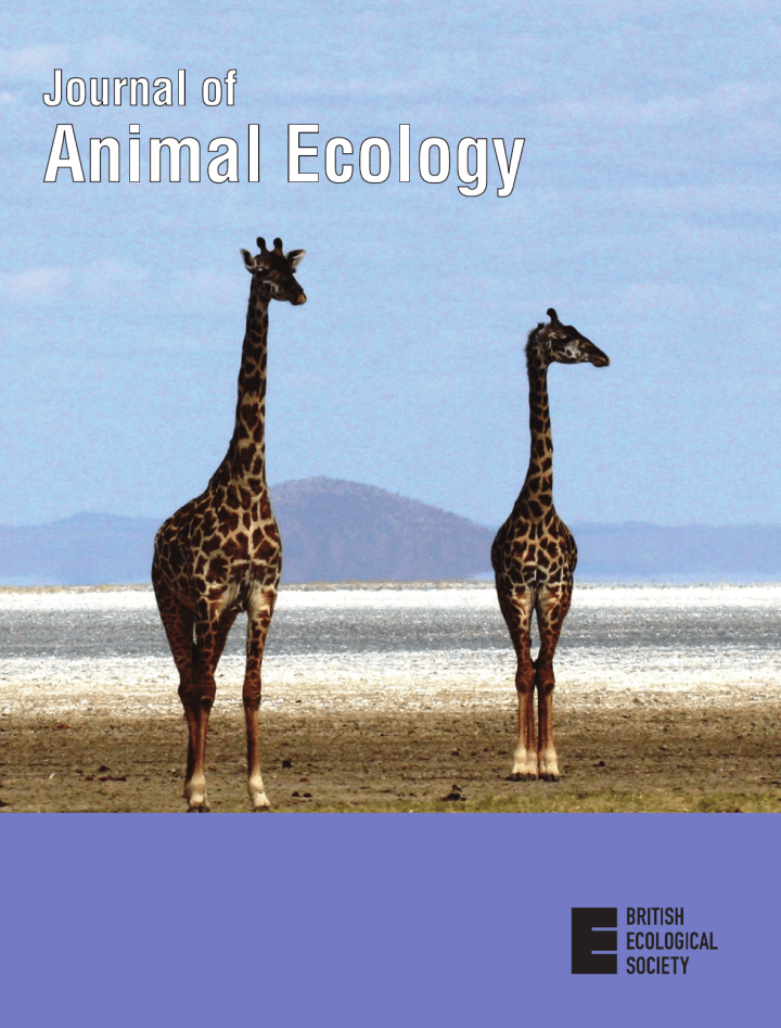 Editor round-up: Animal Social Networks Issue – Animal Ecology in Focus