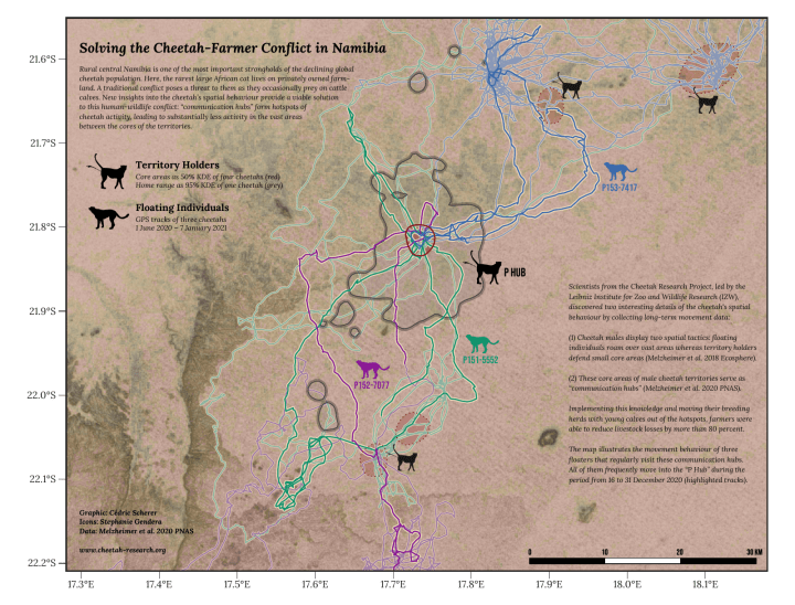 Moving forward with cheetah research and conservation – Animal Ecology ...