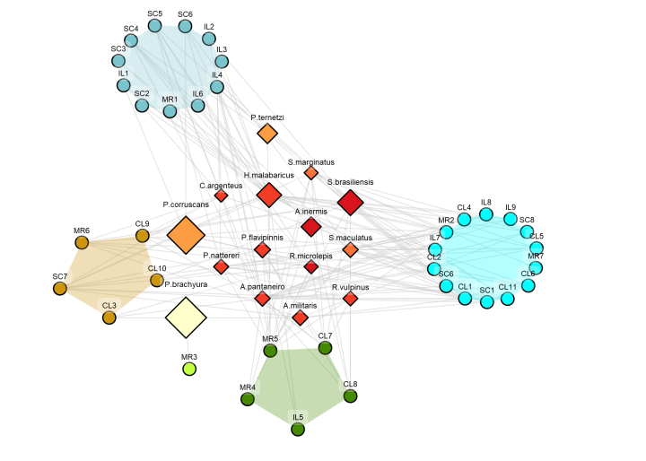 Size does matter: how do traits affect the role of predatory fish on ...