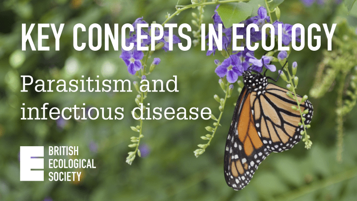 Key Concepts in Ecology: Parasitism and infectious disease – Animal ...