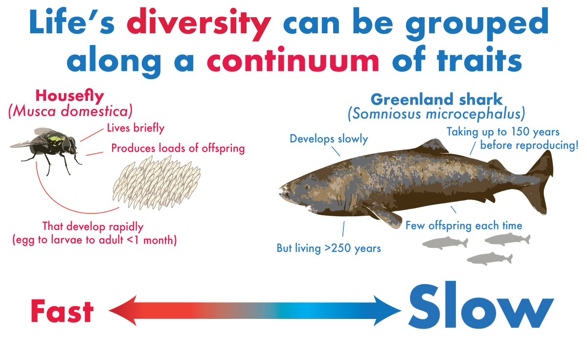 Small details affect the big picture: The response of populations to ...