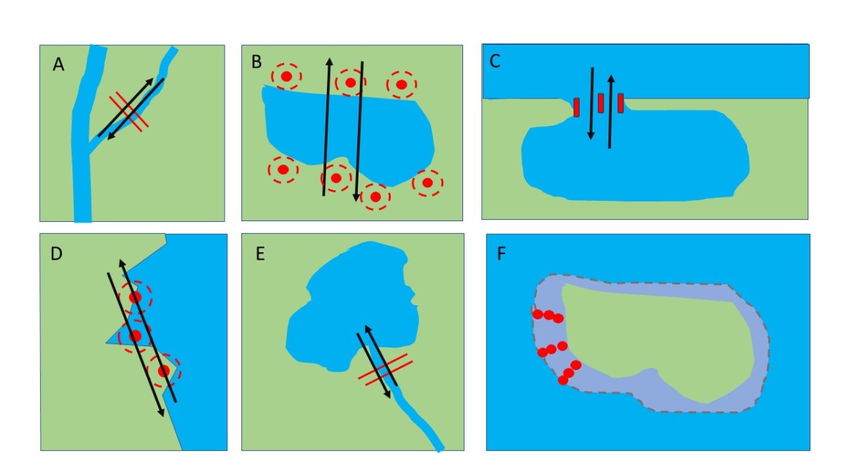 Estimating migration timing and abundance in partial migratory systems using automated telemetry ...
